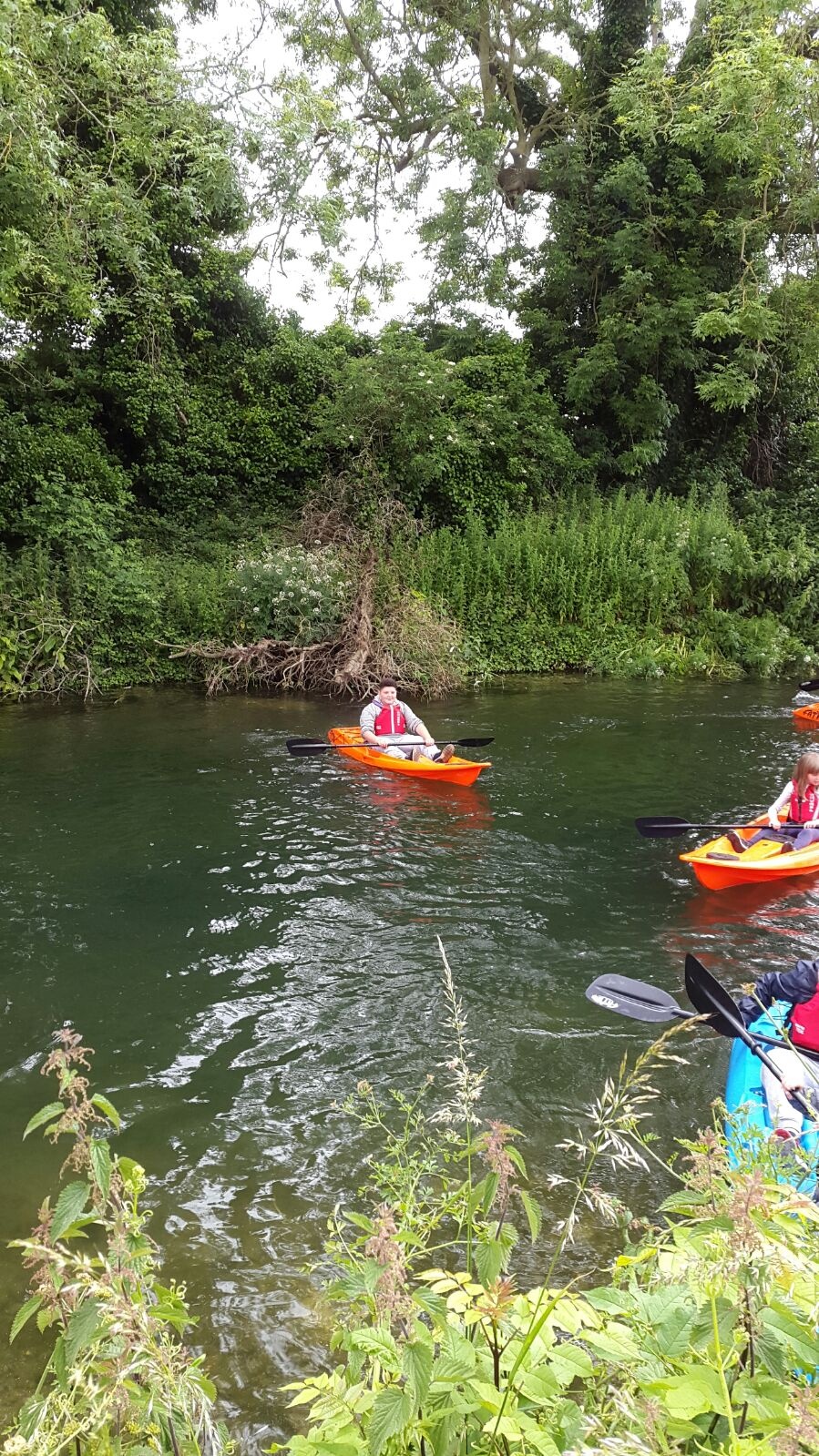 Bersted Green Primary School - All About BGPS